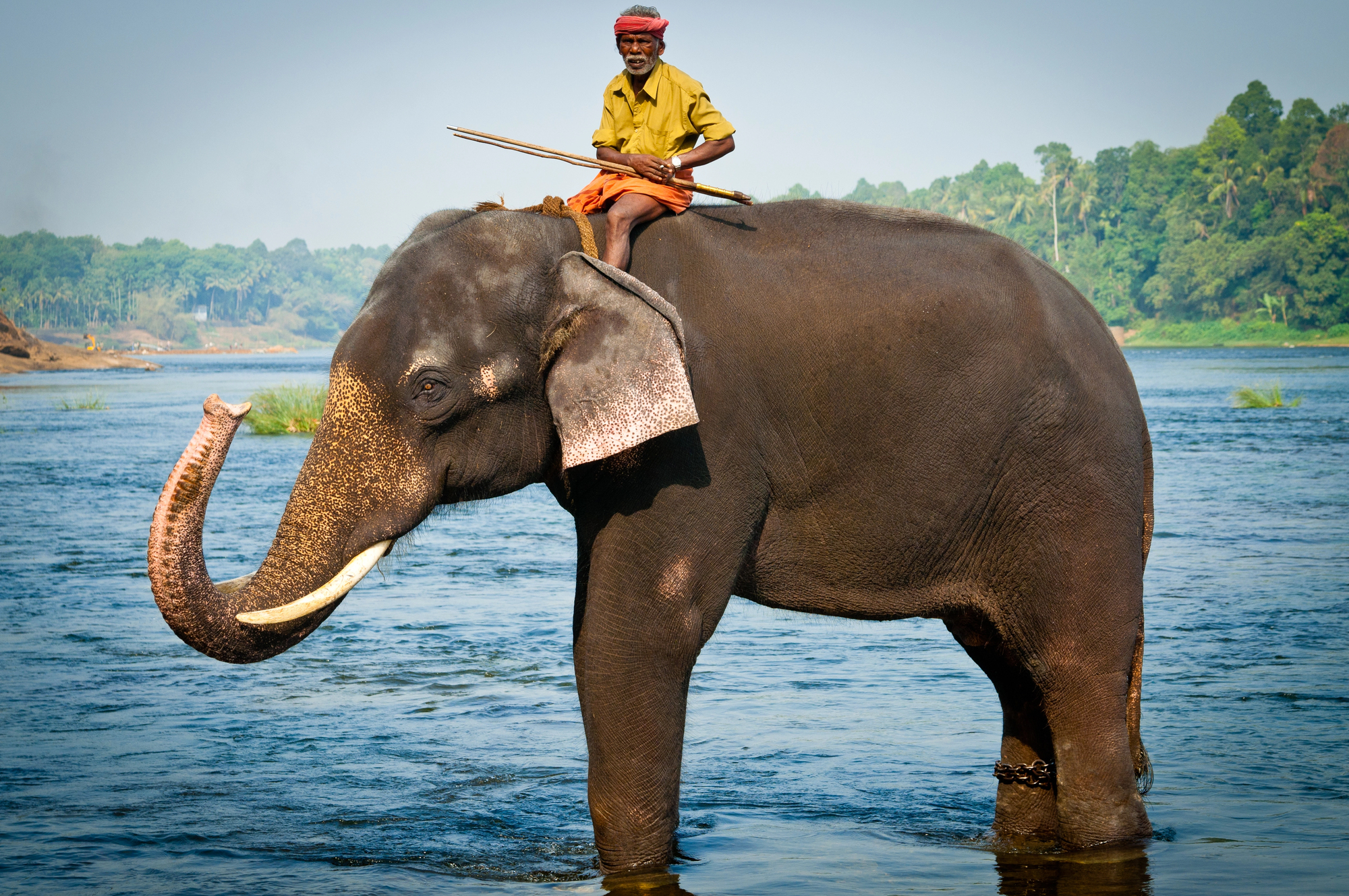 20 things to see in Kerala, India