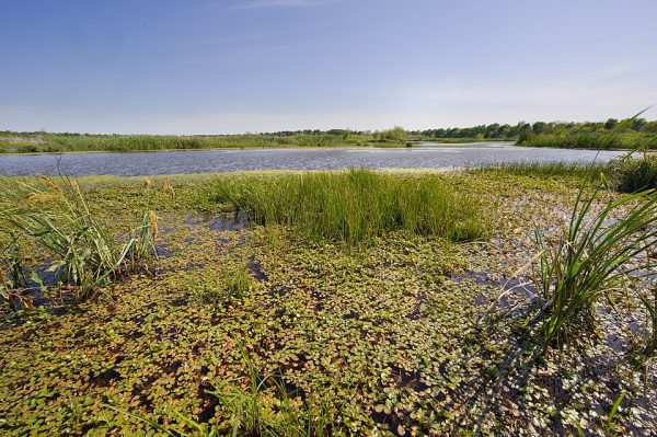 As Trump administration guts environmental regulations, local ...