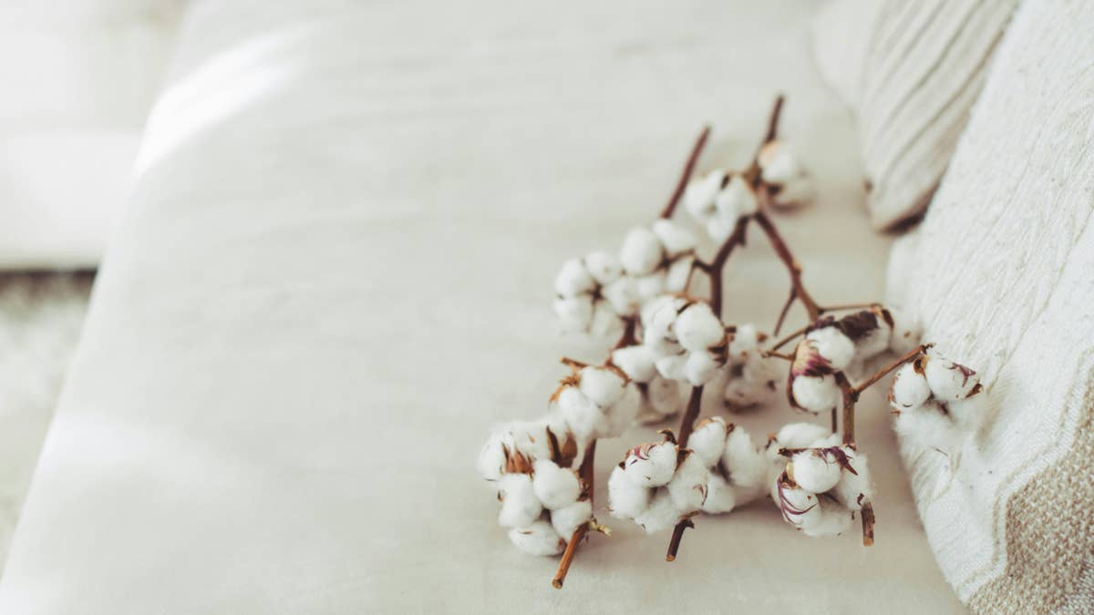 5 inexpensive tricks that will make your home smell fresh and clean