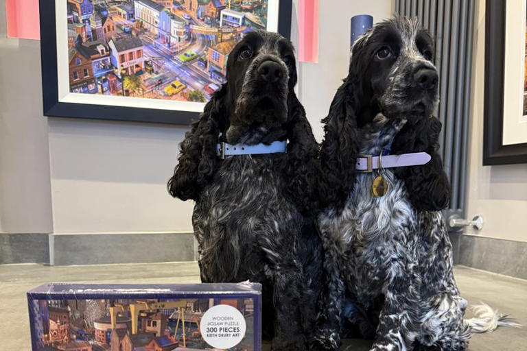 Belfast airport's new artwork inspired by late-life autism diagnosis ...