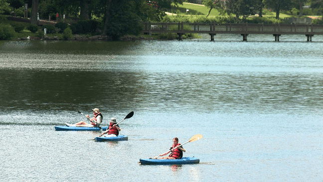 Flock of swan pedal boats arrive at Lake Junaluska this summer