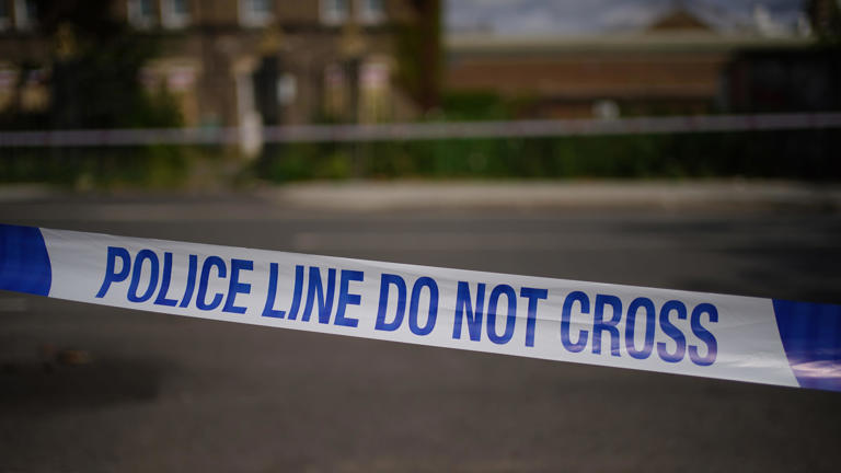 Fact check: Convicted murderers get lifetime sentences with minimum ...