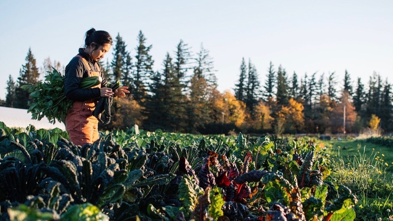 Small farms food program gets local lifeline