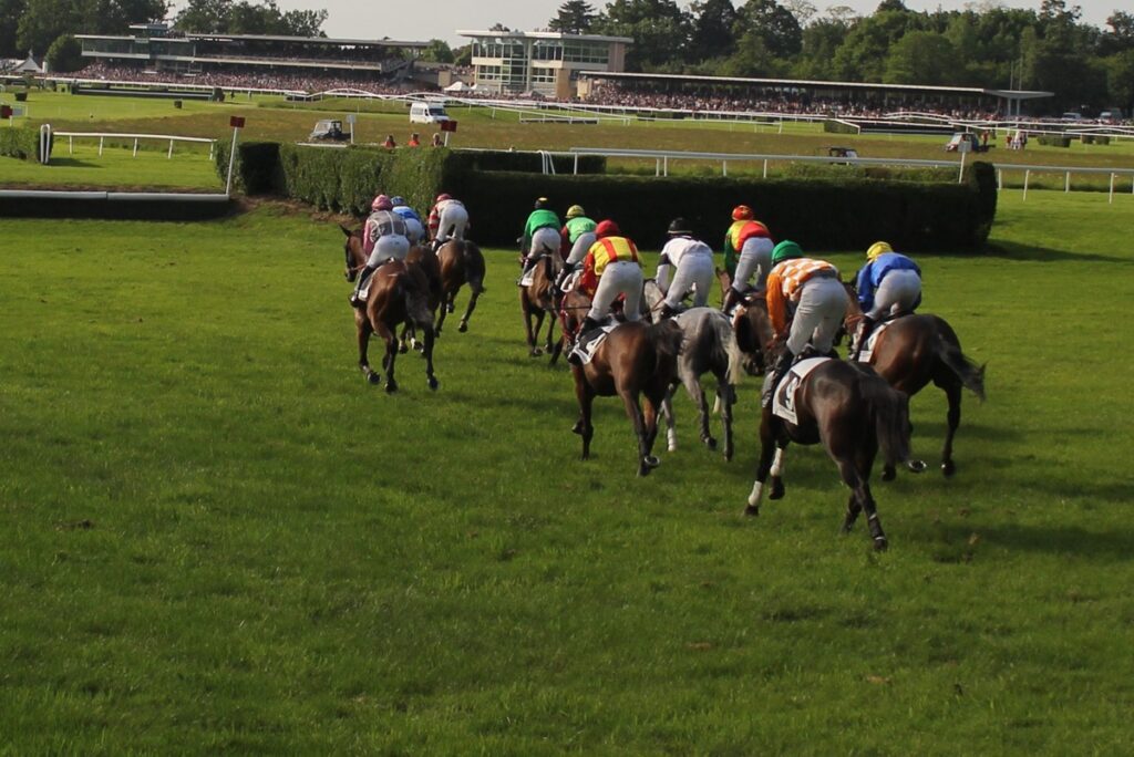 Le Lion-d’Angers : un week-end placé sous le signe des courses à l ...