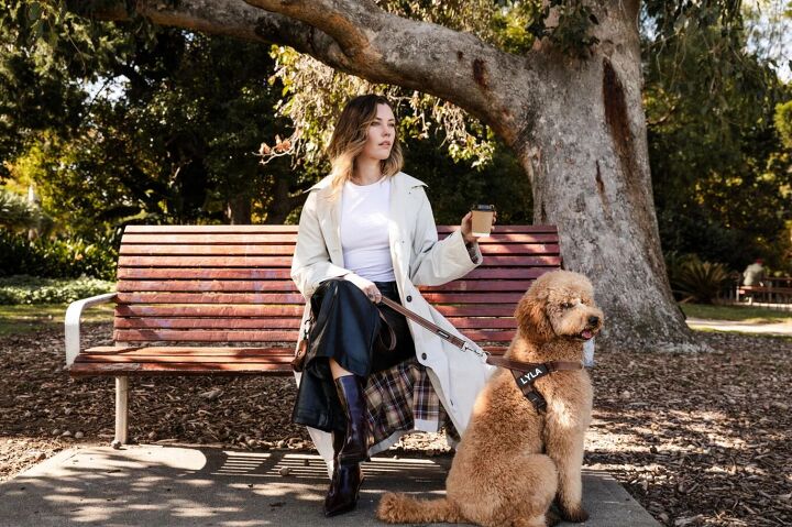 Tired of your dog constantly pulling? A smarter harness exists