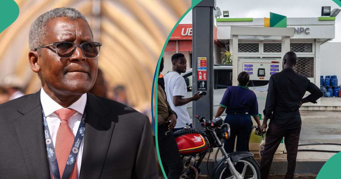 Dangote under pressure: Petrol and diesel prices may drop again as ...