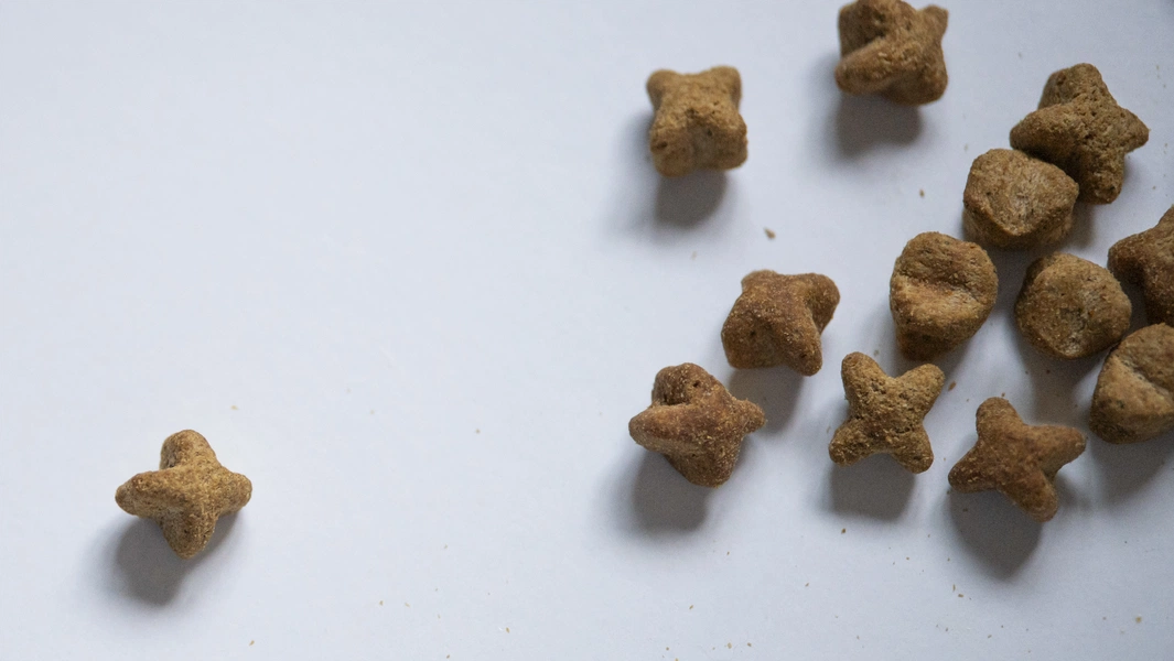8 dog food brands to avoid