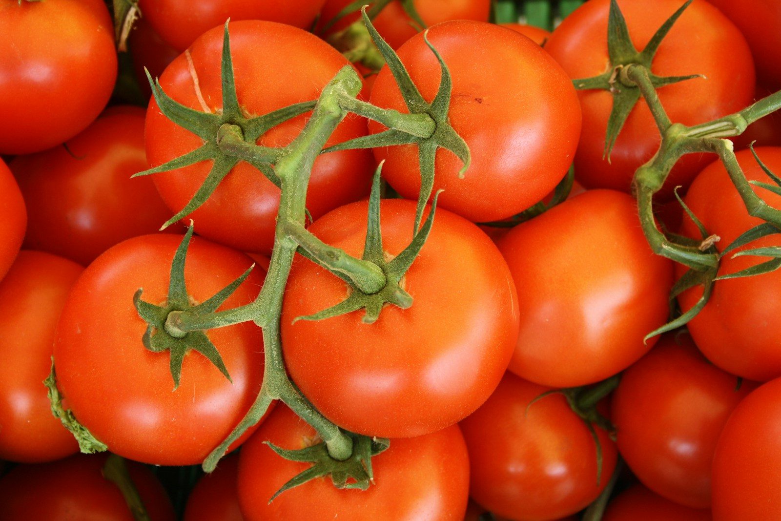 8 simple alternatives that may work better than traditional tomato cages