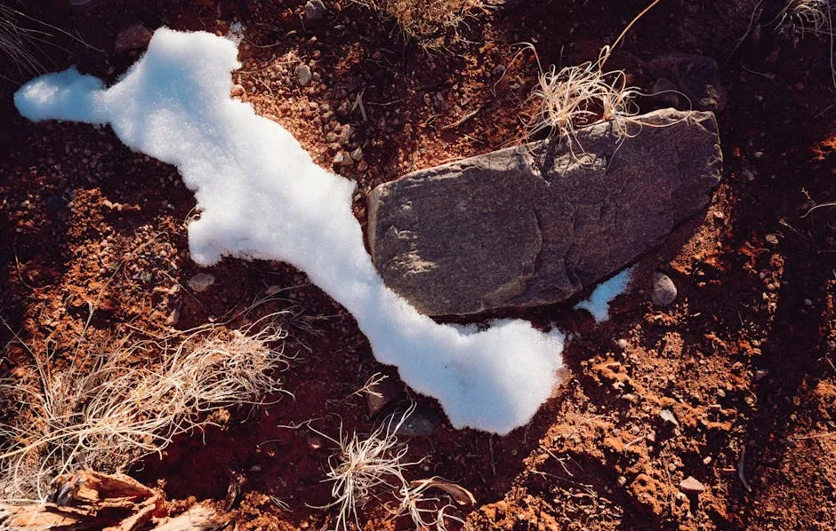 How heavy snowfall acts as a natural, insulating blanket for perennial ...