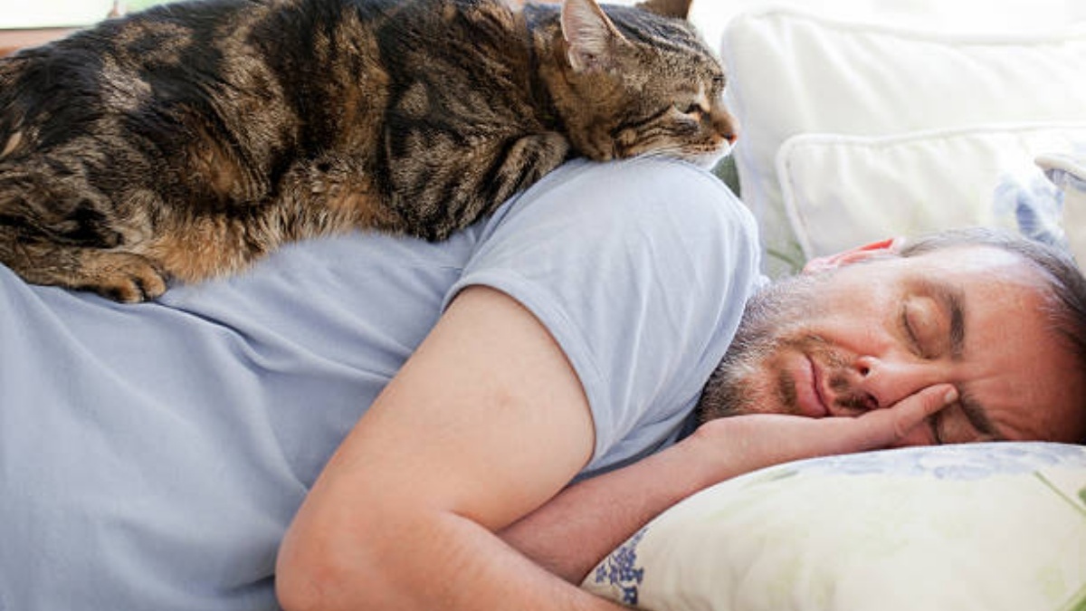 If your cat sleeps beside you every night, here's what it could mean