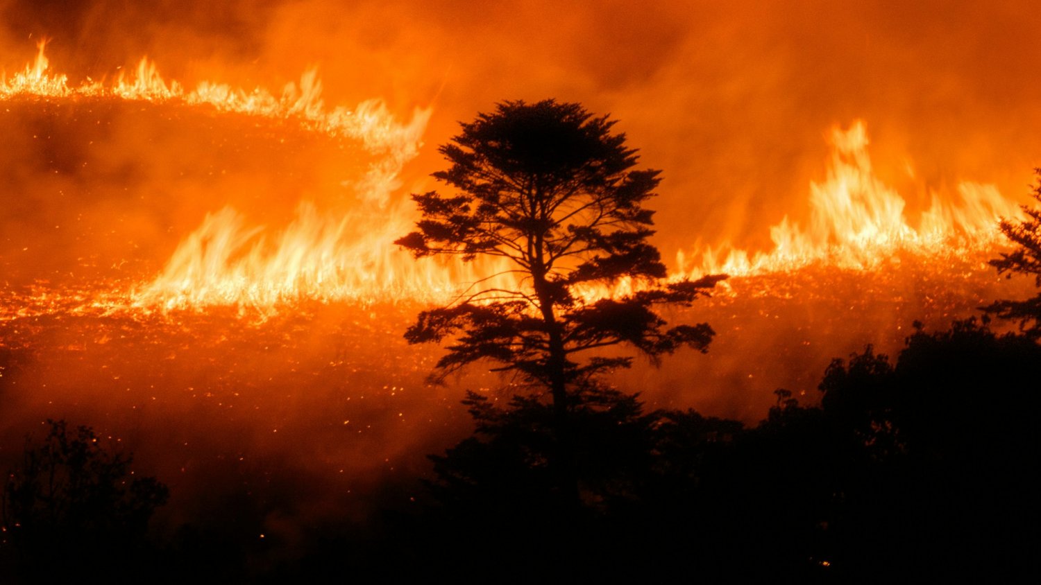 Pacyfik grzeje się o 6°C powyżej normy. Uderzenie El Niño spowoduje chaos