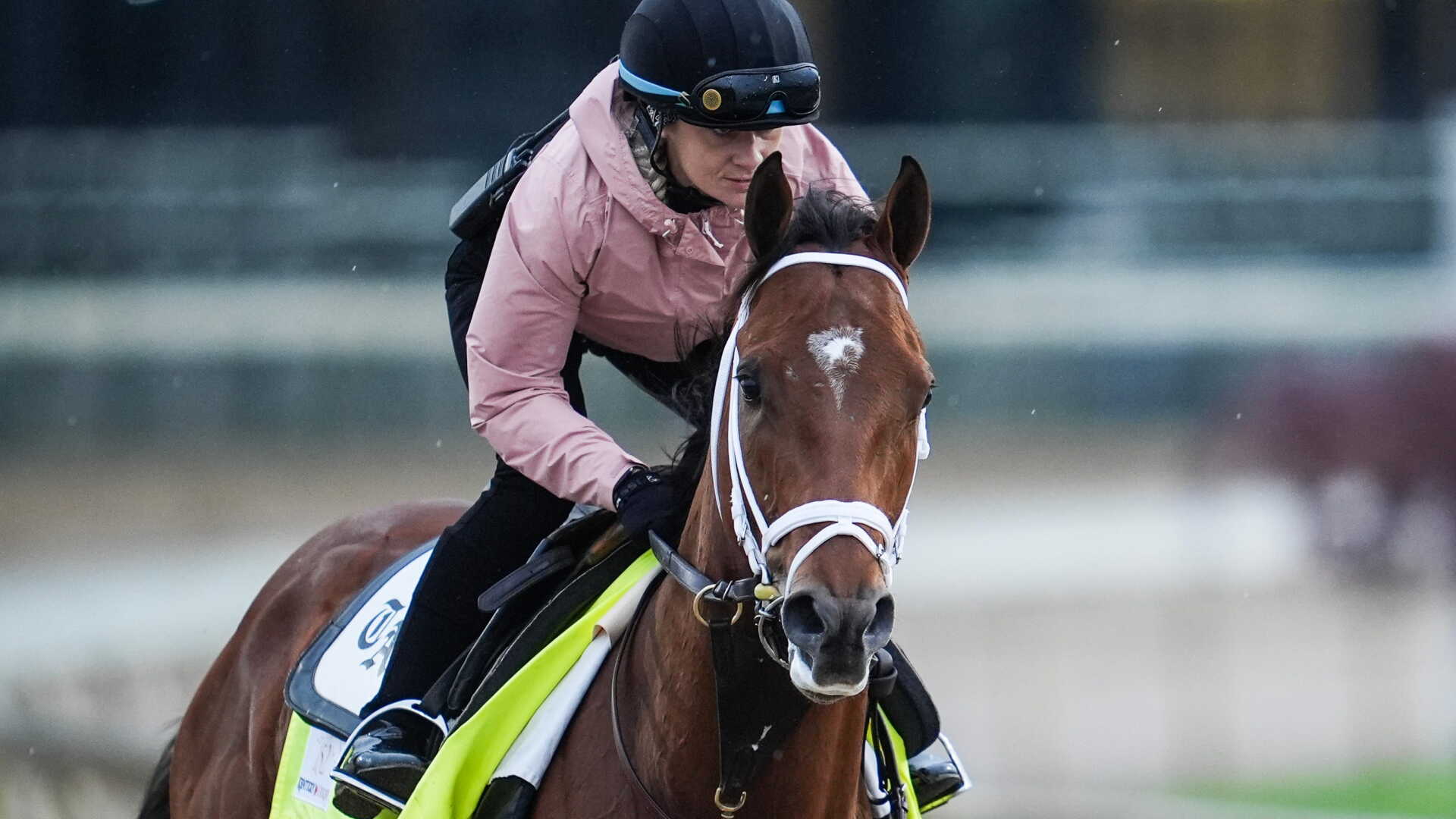 Renegade is the 2-1 favorite for the Belmont Stakes rematch with Derby ...
