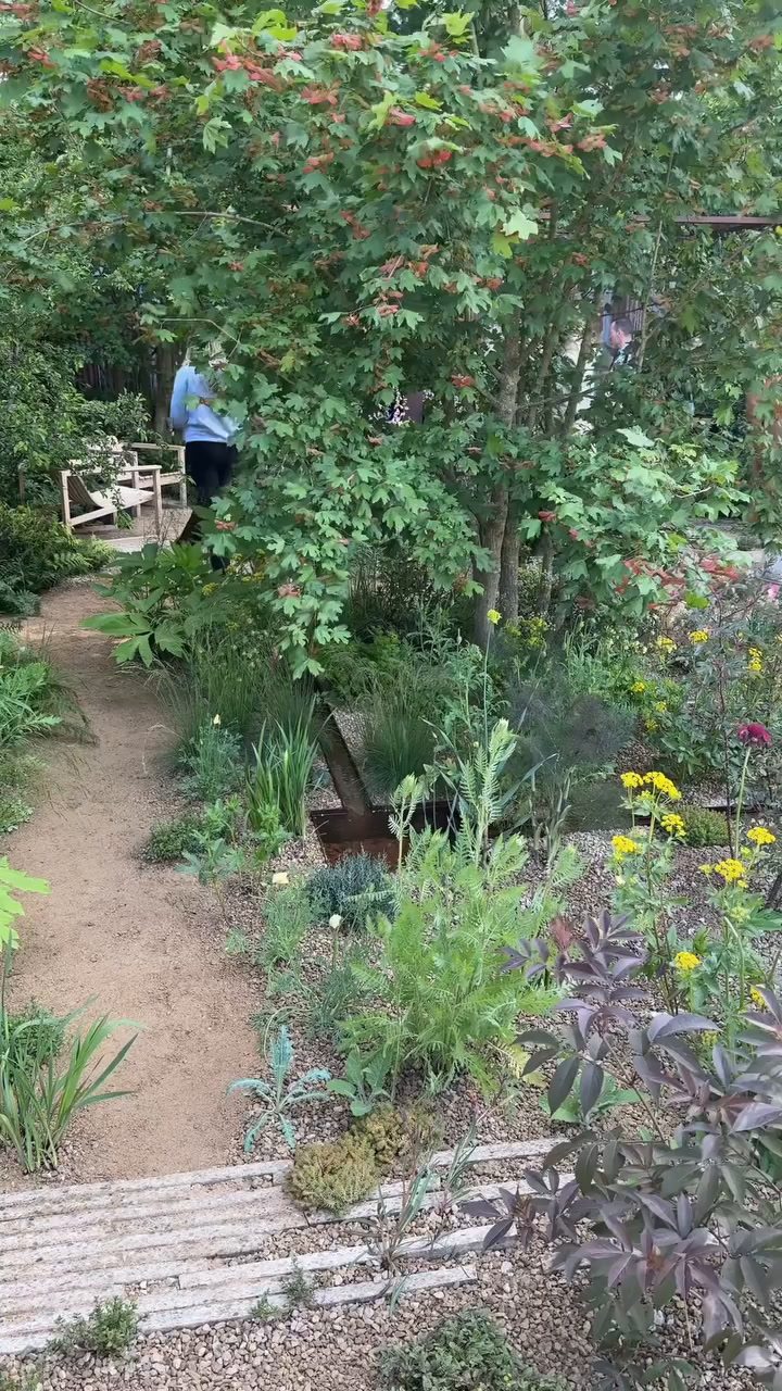 RHS Chelsea really is the ultimate sensory overload - in the best ...
