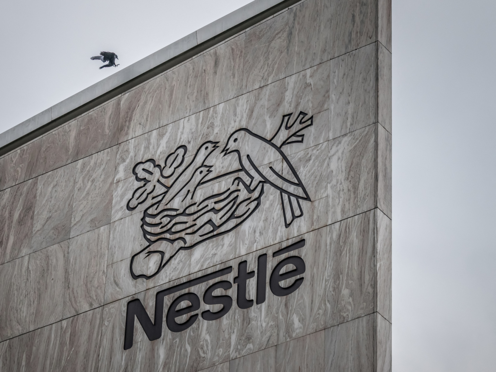 Nestle setzt auf Katzenfutter statt Babynahrung