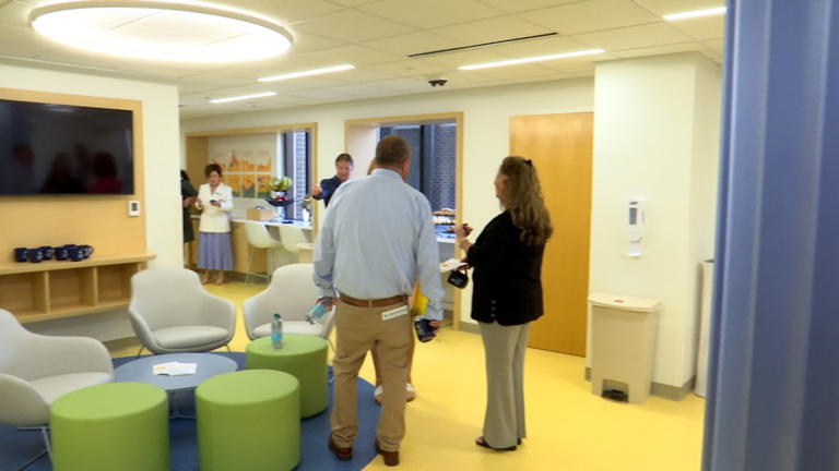 Dolly Parton Children’s Hospital unveils redesigned lounge for families ...