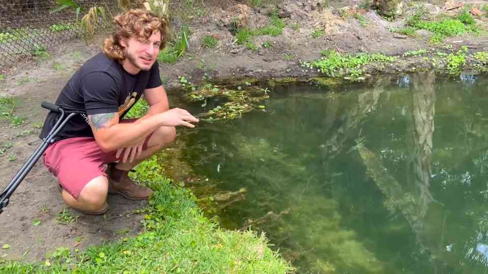 The crocodile was angry before training even started