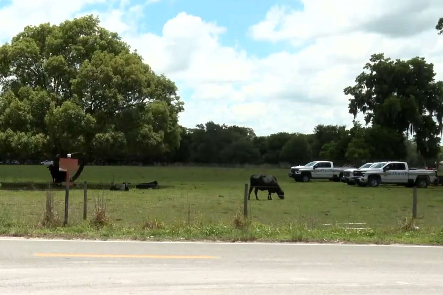 Bones found in pasture identified as reclusive 70-year-old who likely ...