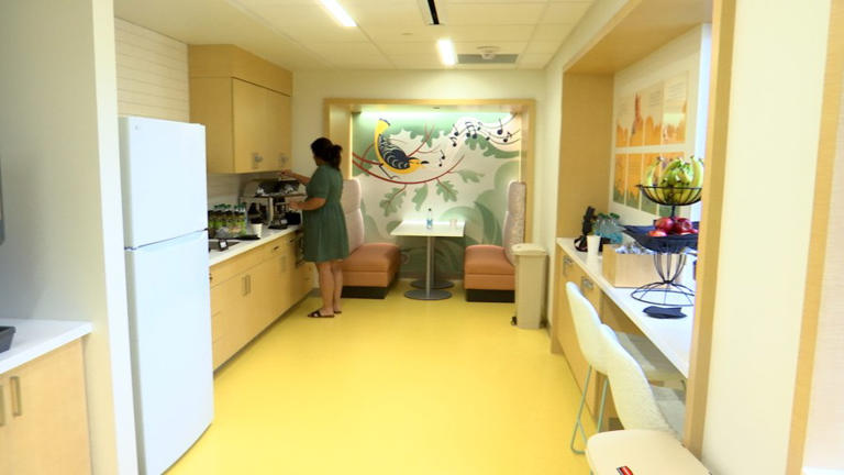 Dolly Parton Children’s Hospital unveils redesigned lounge for families ...