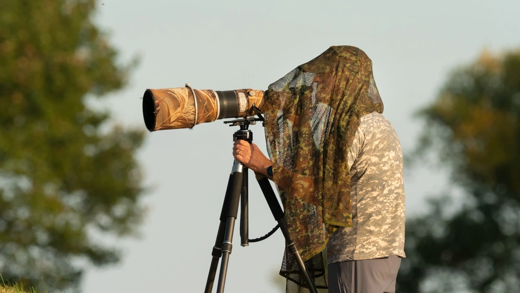 11 creative examples of camouflage in photography