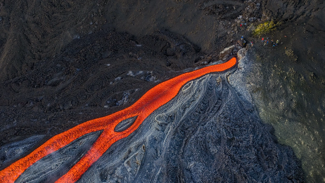 24 fascinating photos from nature to creative art