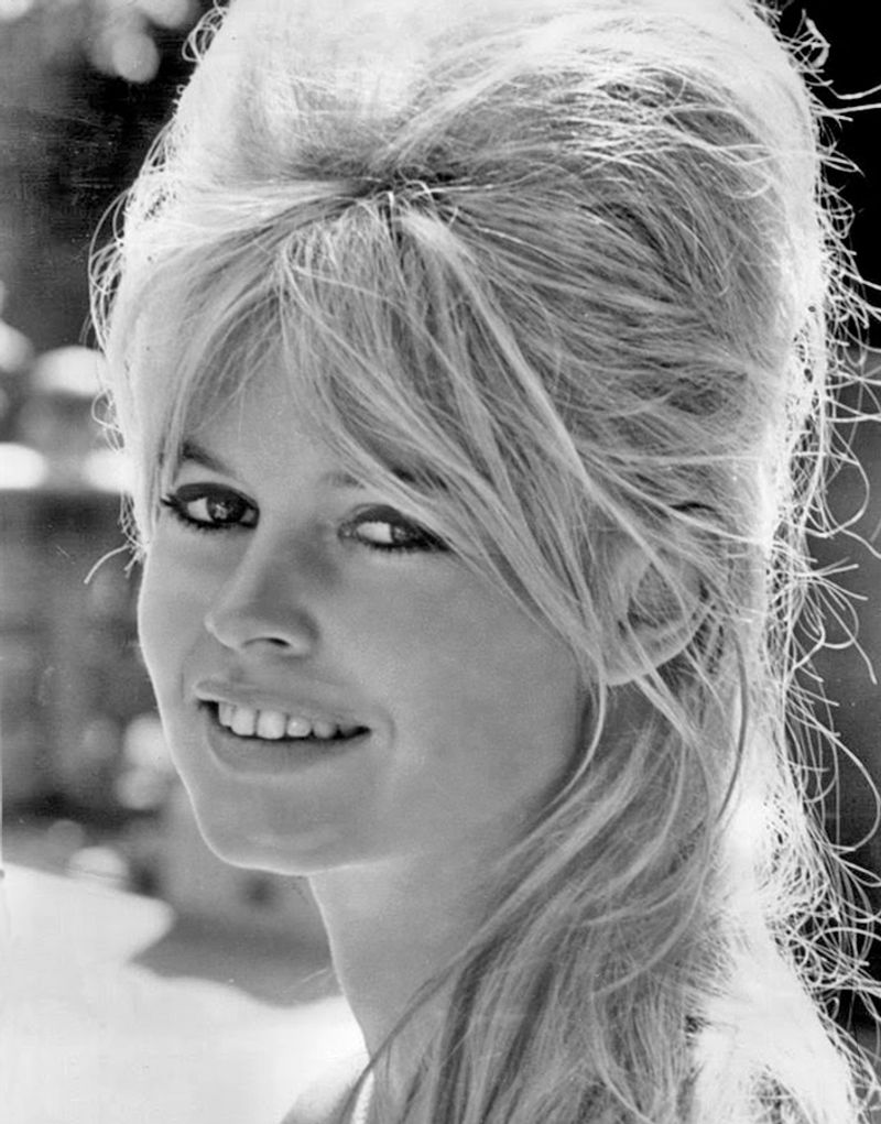 15 glamorous women who defined the style of the 1960s