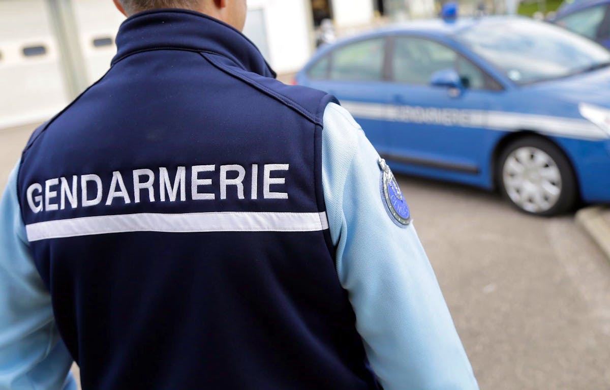 « En colère », un ado se filme en train de torturer deux chatons