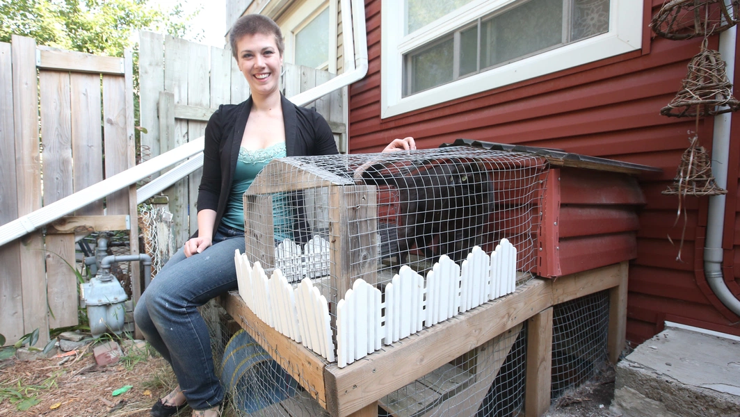 11 Creative DIY Cat Home and Enrichment Ideas