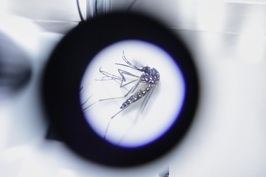 DHHS warning public of West Nile virus after fatal case in Arizona