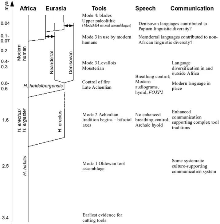 Neanderthals were once thought to communicate with grunts, scientists ...