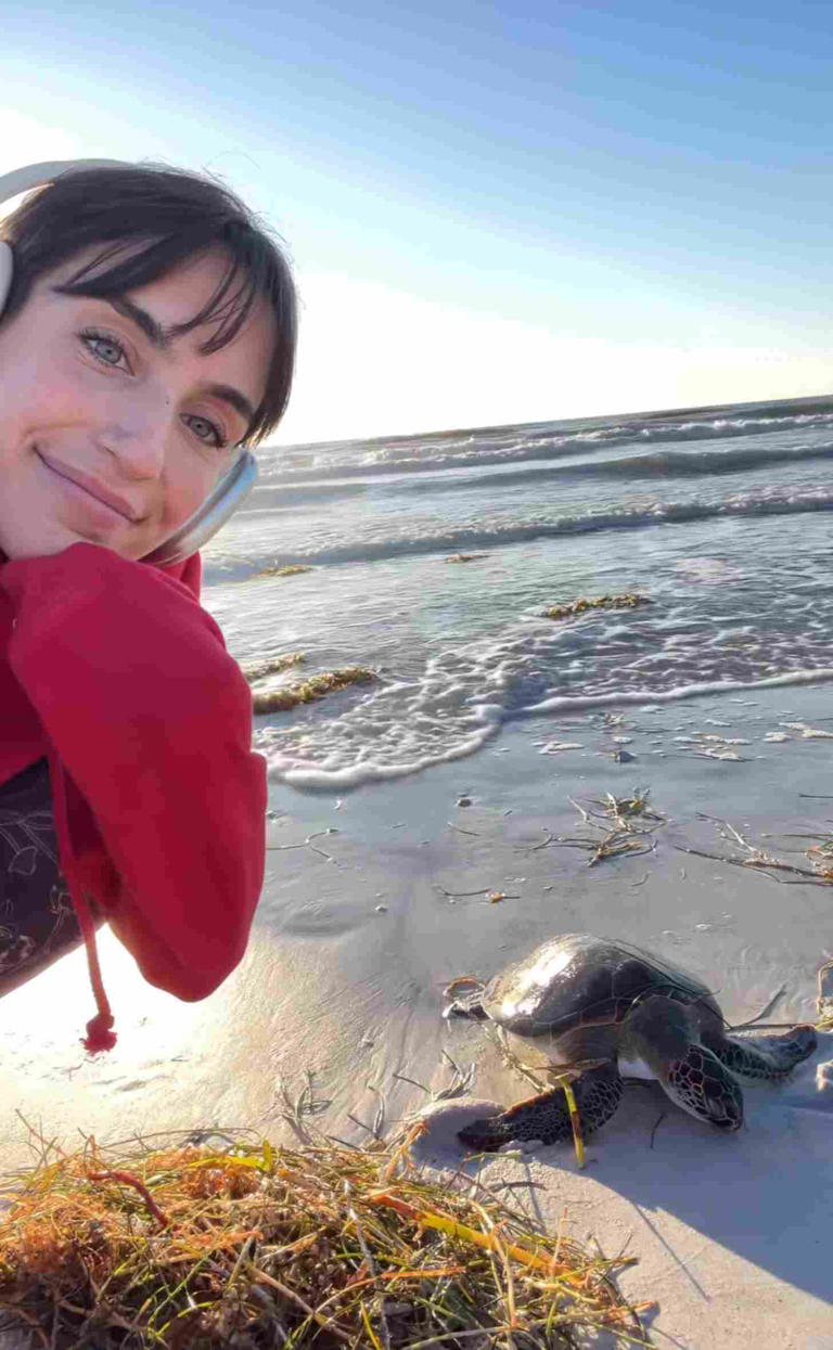 A woman spent hours beside a sick sea turtle in the cold and dark. Her ...