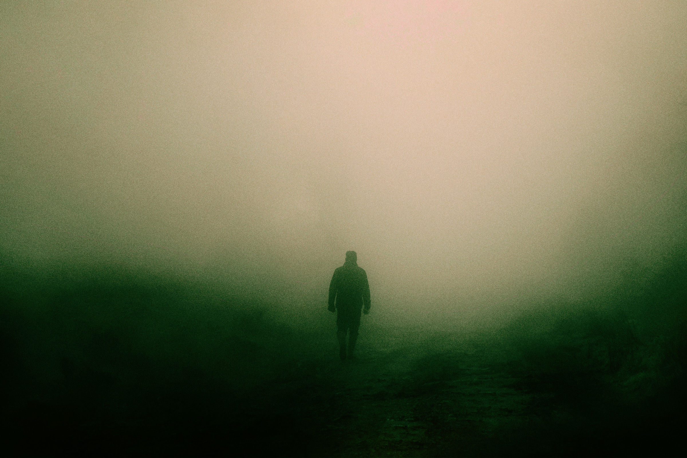 There’s something living inside fog, scientists find
