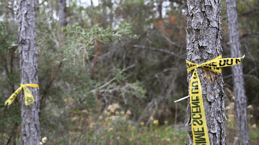 Remains of missing DeFuniak Springs man found after decade
