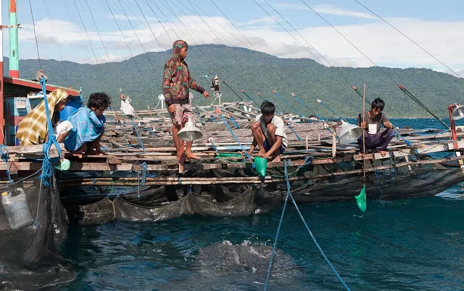Decade-long study maps year-round whale shark strongholds in Indonesia