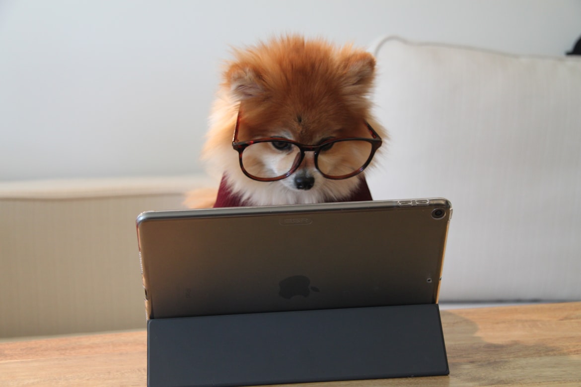 40+ work-from-home memes that are way too relatable