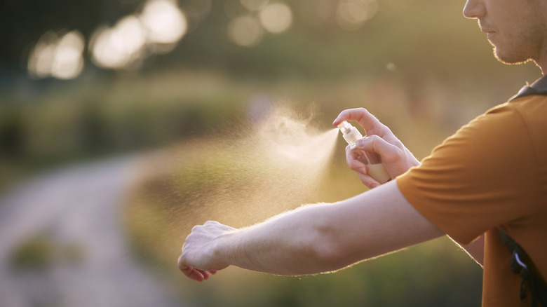 New study shows bug spray could be having an unexpected effect on ...