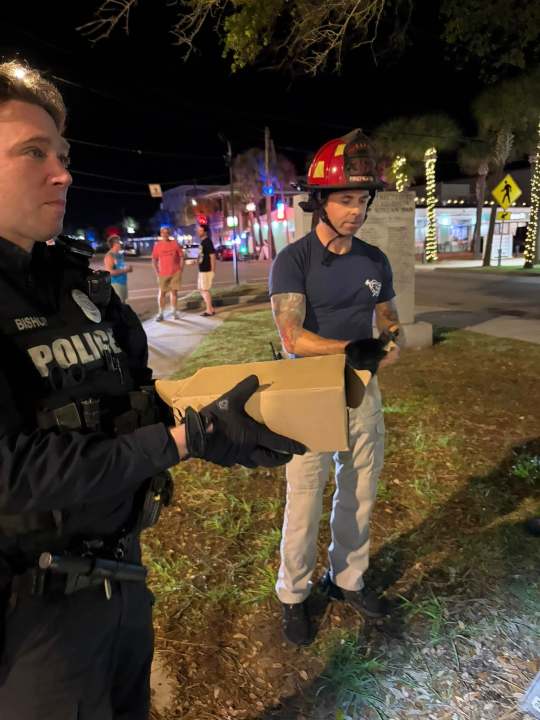 Tybee first responders team up to rescue baby green heron