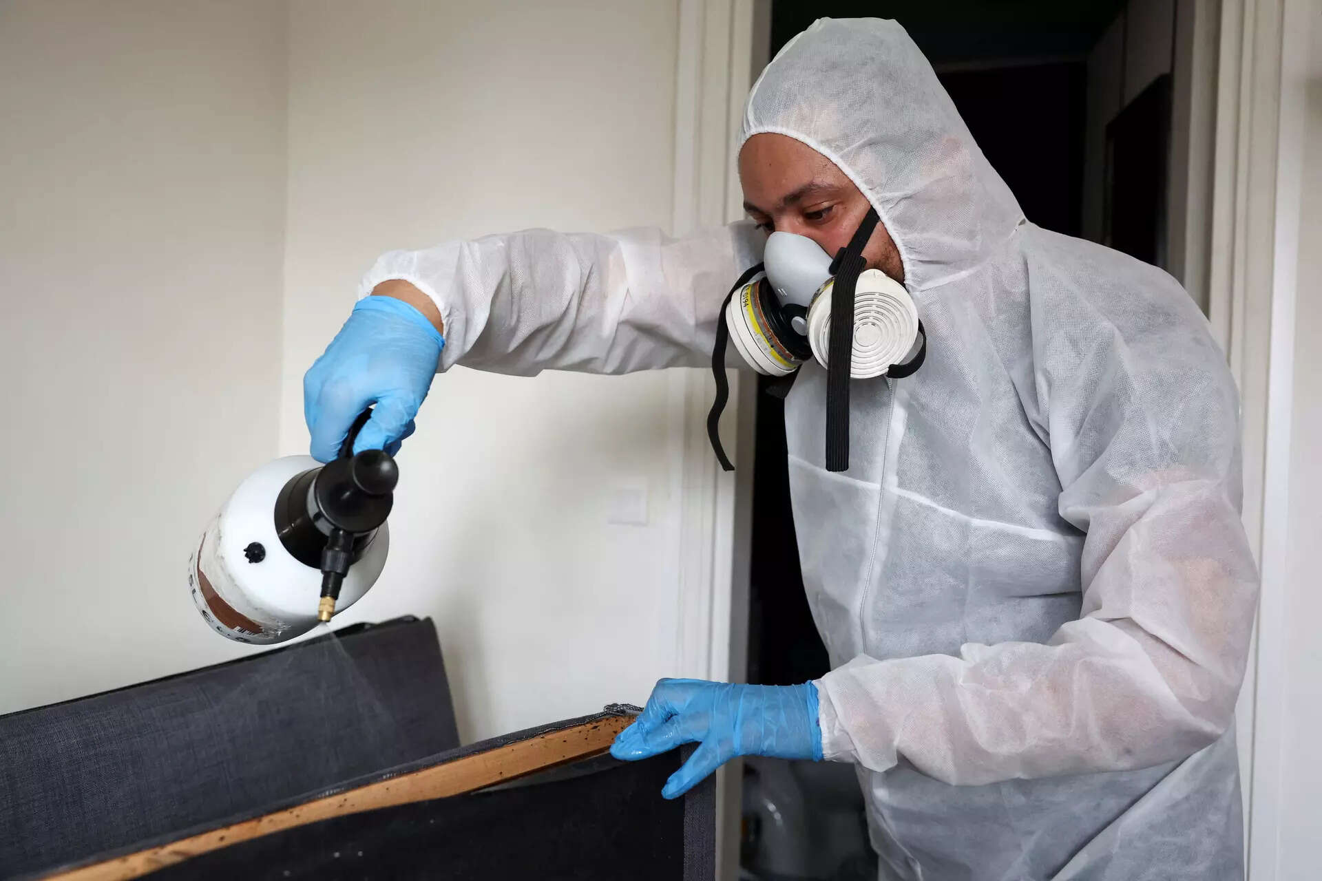 Bed bugs torment Trump administration's USDA office as infestation ...