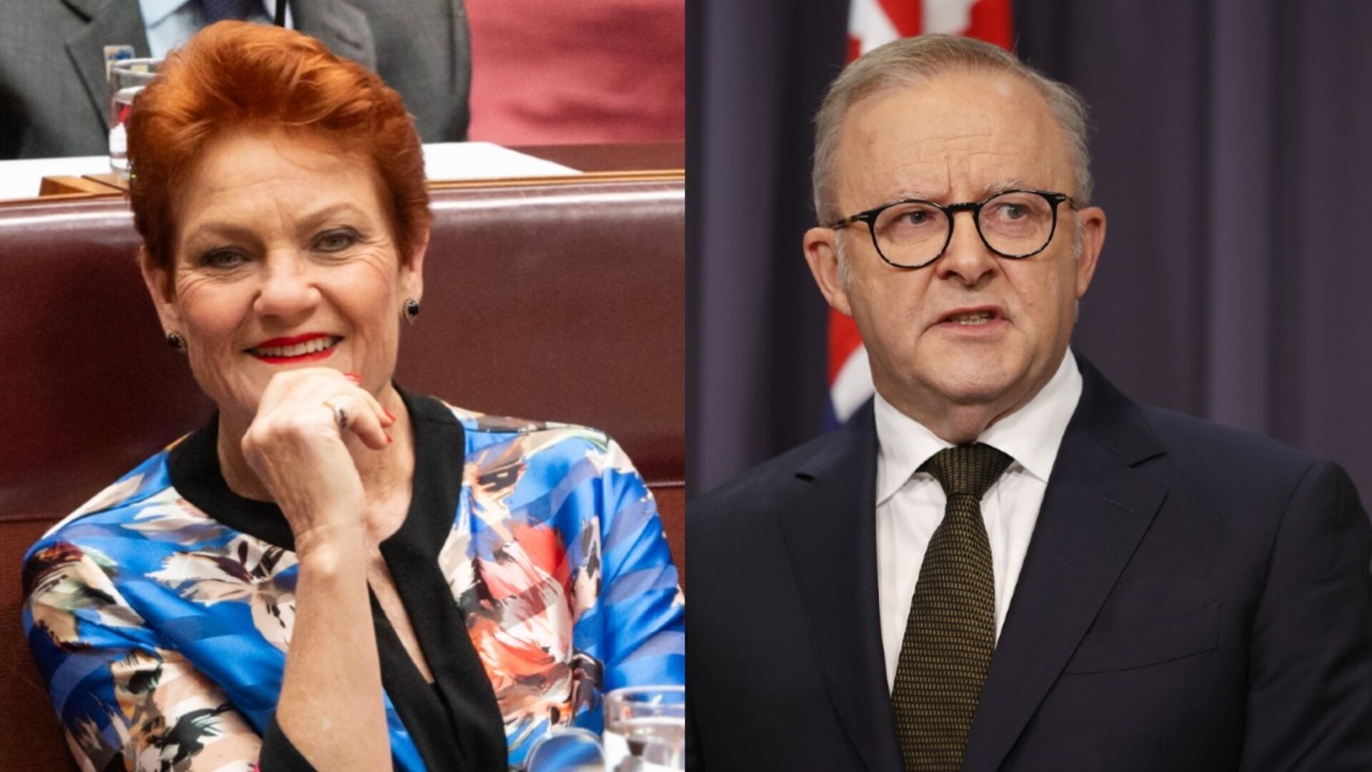 Sky News Pulse: One Nation surges past Labor in new poll