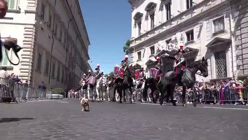Il cane Briciola va in pensione, ultima parata del 2 giugno per la ...