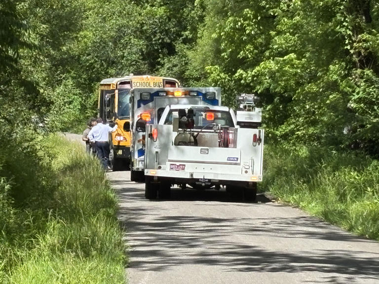 No serious injuries in school bus incident