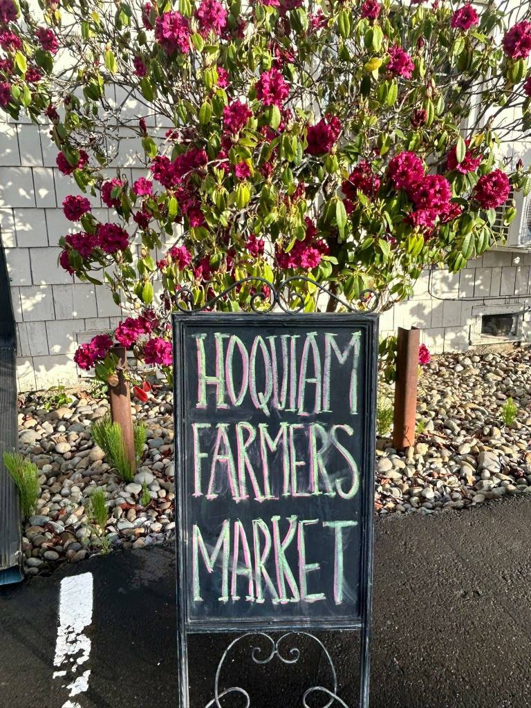 Farmers markets around Grays Harbor