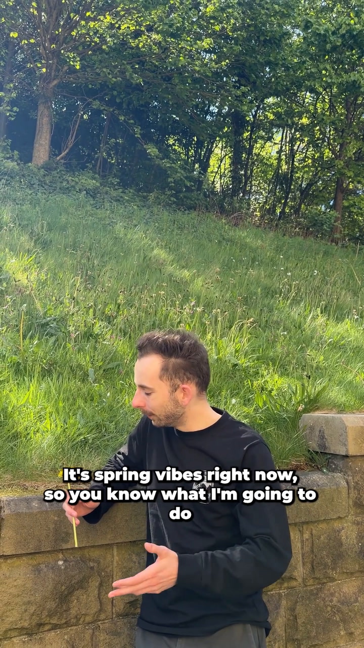 Unexpected movie recommendations for spring