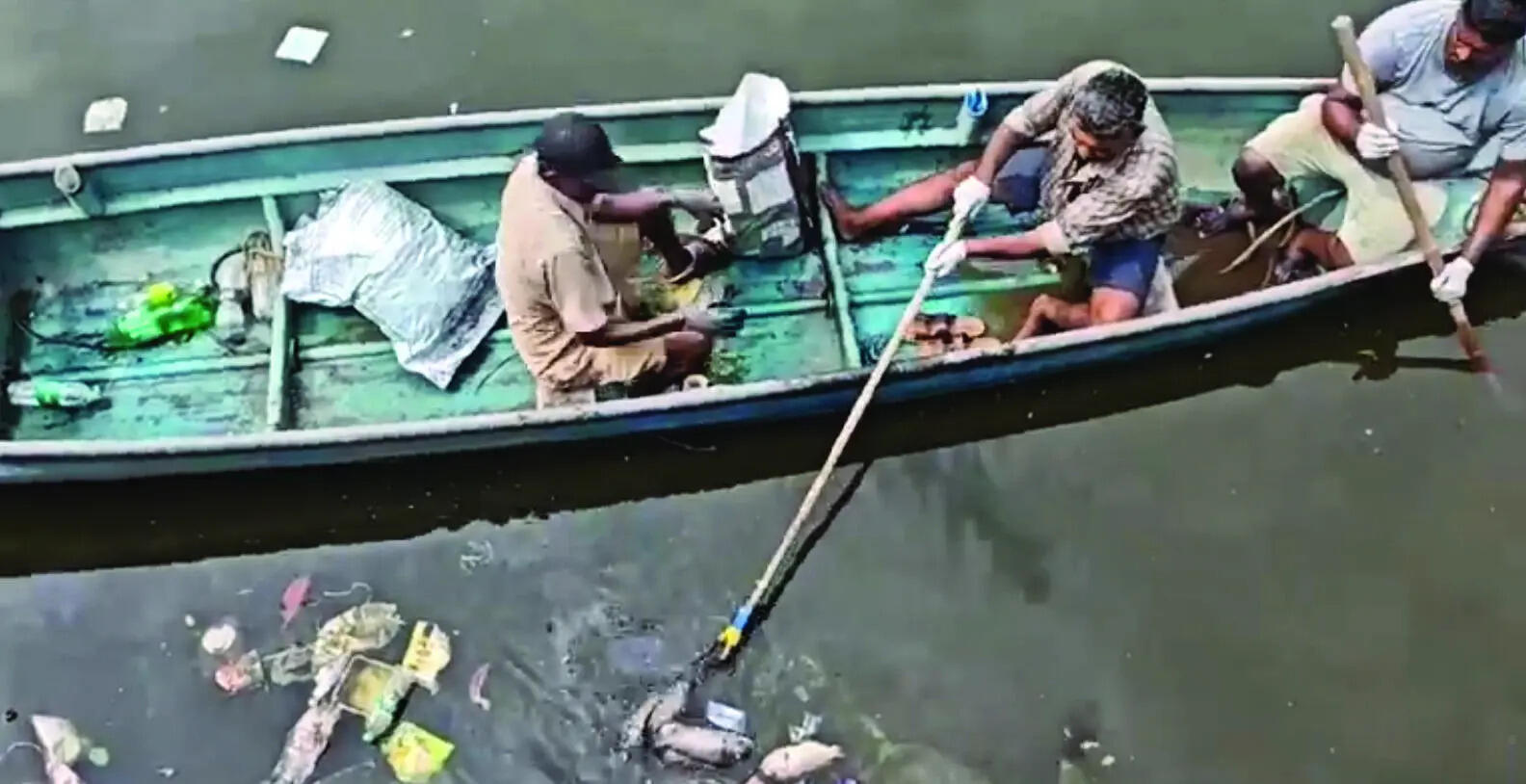 After Mala lake, dead fish surface in Campal Lakeview Colony waterbody