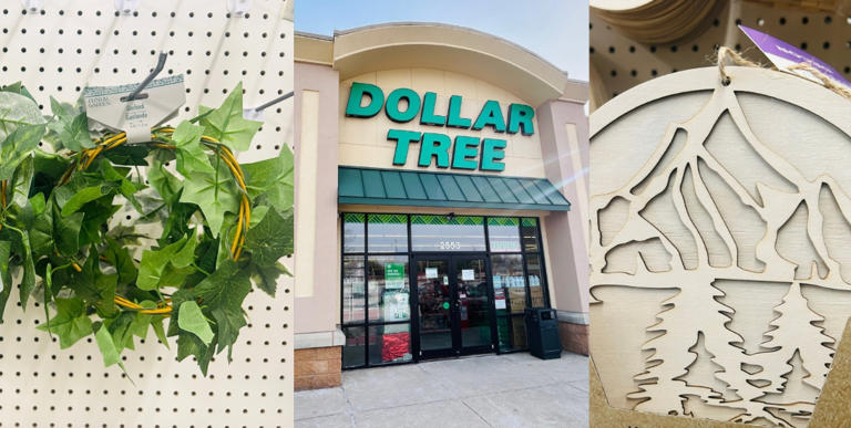 I found the prettiest Dollar Tree items for the naturemaxxing trend!