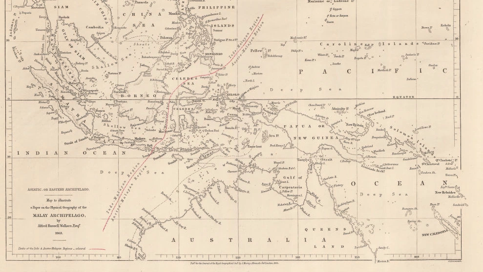 Unraveling the Wallace Line's biogeographic divide