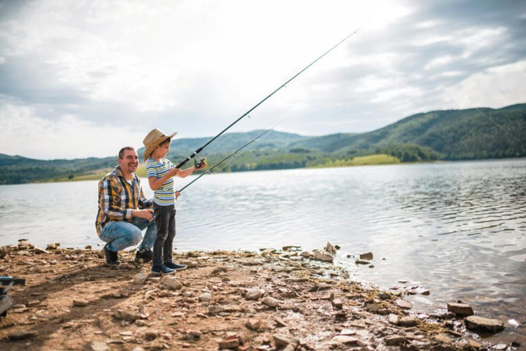 Petition to ban hunting and fishing in Oregon gains momentum with ...