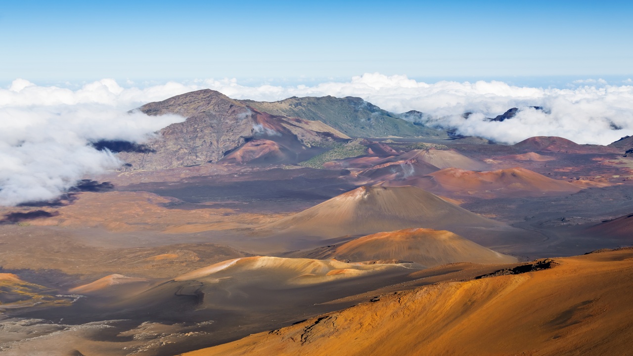 Above the clouds at 10,000 feet or deep in a bamboo rainforest? Same ...