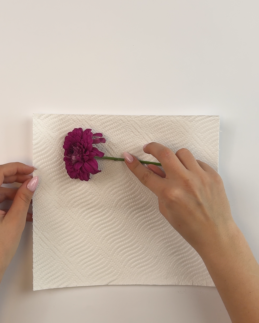 Houd je favoriete bloemen voor altijd 🌸