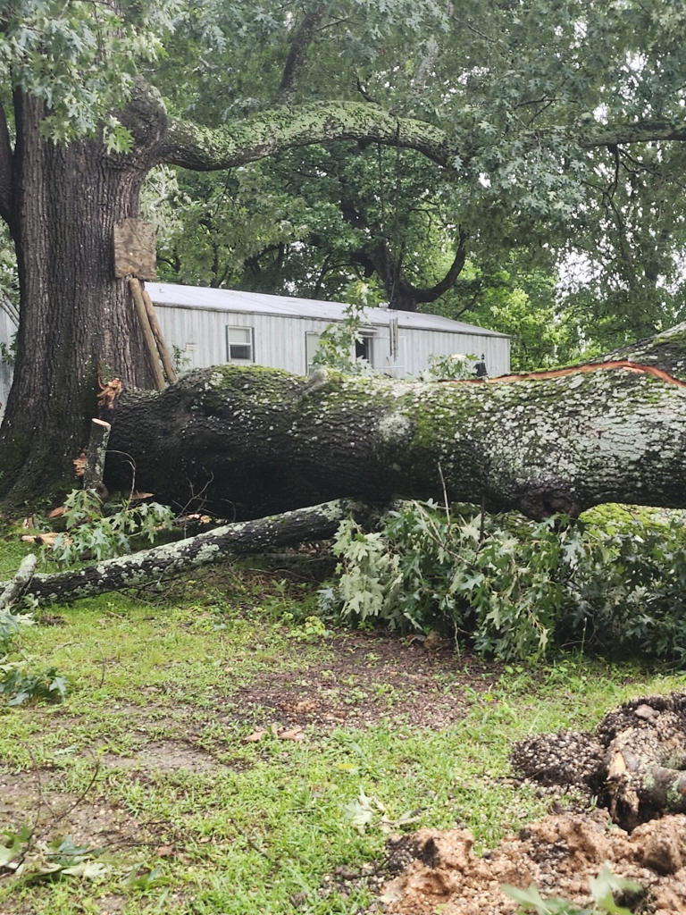 Downed trees block roads, damage homes and cars after storm sweeps ...