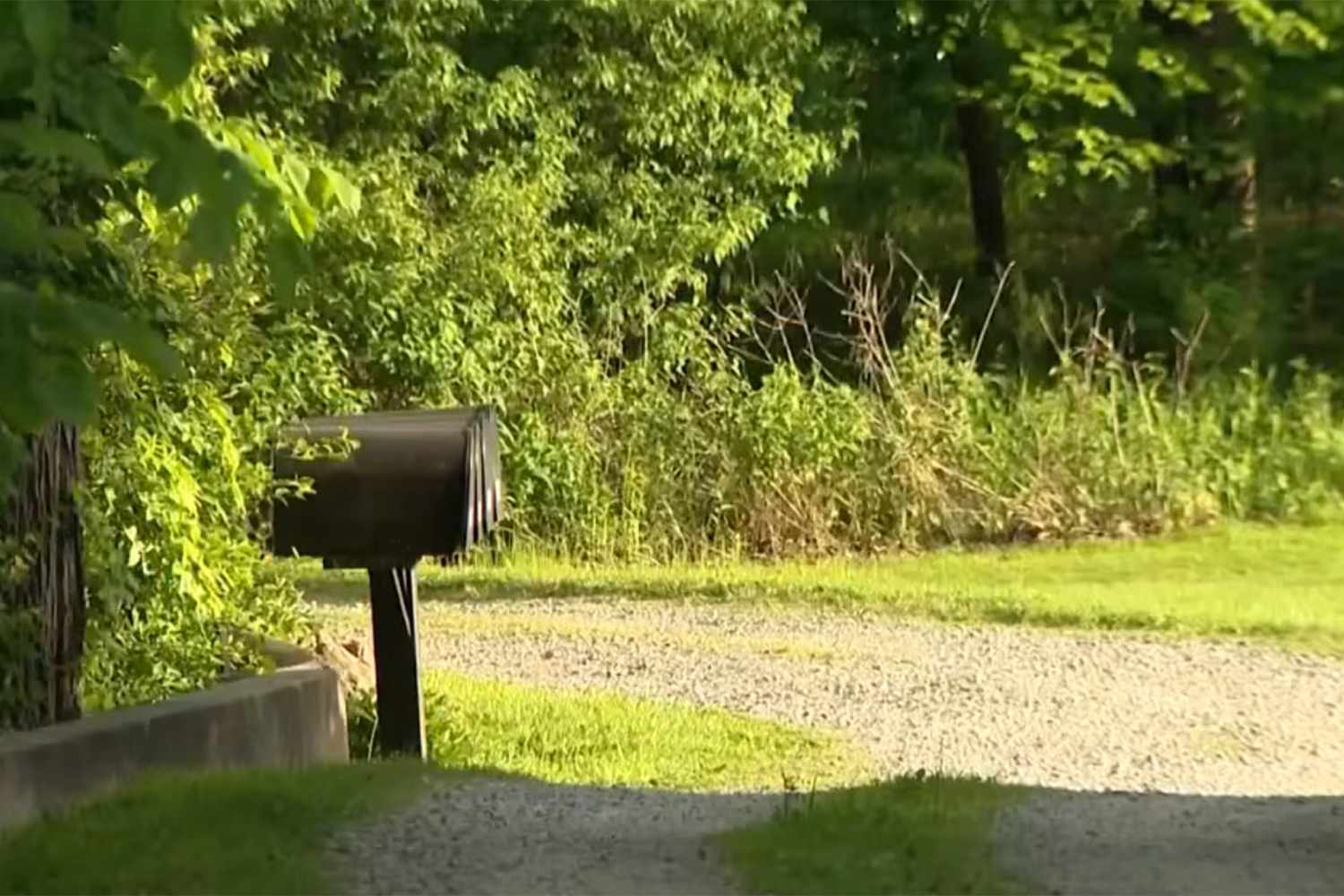 Contractor dies on the job after ‘stress fracture’ causes tree to snap ...